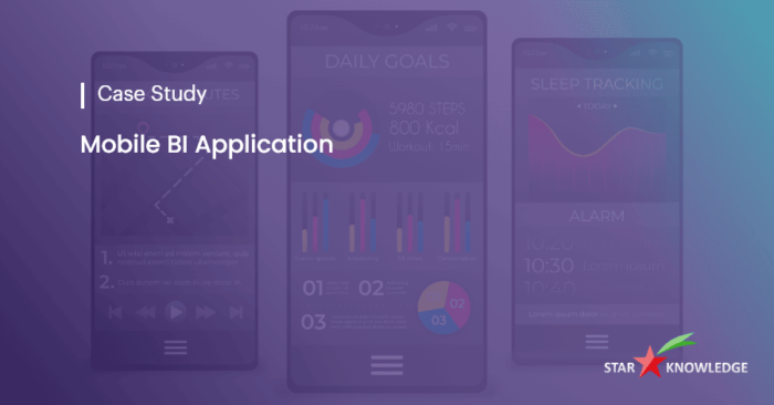 Mobile BI Application Development – Star Knowledge Case Study
